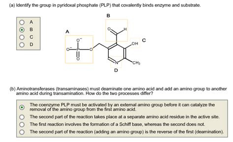 Solved A Identify The Group In Pyridoxal Phosphate Plp