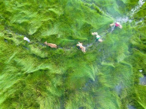 2025年最新公司章程範本完整指南 解決您的公司法規疑慮 宏吉記帳士事務所