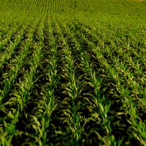 Slava Dubchenko Posted On Linkedin