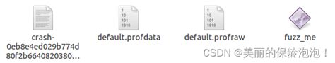 学习libfuzzer使用（一）libfuzzer下载fuzzinggit和fuzzer Test Suitegit有什么用 Csdn博客