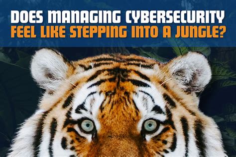 cybersecurity jungle secured cyber services