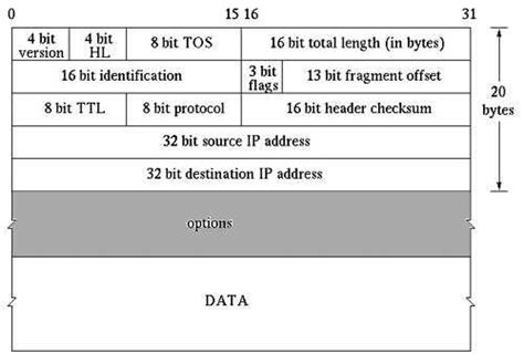The Fields Of An IP Packet Download Scientific Diagram