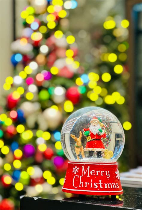 คลังภาพถ่ายฟรีของ การตกแต่งฤดูหนาว การเฉลิมฉลองวันหยุด การแสดงเทศกาล ของขวัญ ของขวัญ