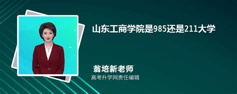 山东工商学院是985还是211大学