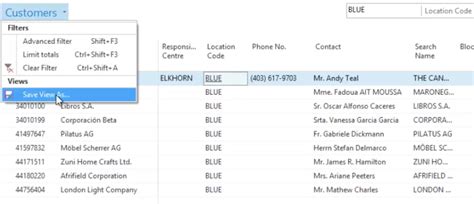 Pages And Filters In Microsoft Dynamics Nav Save View As Erp