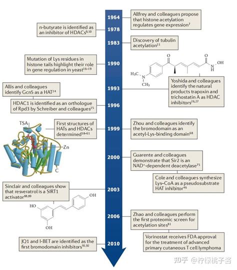 总结 一文带你了解蛋白质乙酰化修饰及其研究 知乎