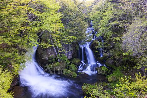 竜頭の滝 栃木県 日光市 204386692 の写真素材 アフロ