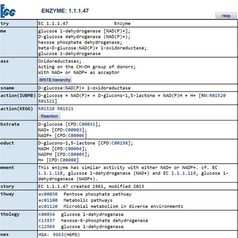 Pyruvate Kinase Enzyme Download Scientific Diagram