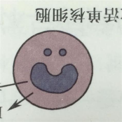 北京卖房的来报个到吧，你们的房子挂了多久才卖掉的？ 知乎