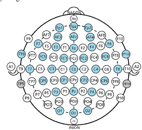 Figure 2 From Eeg Error Related Potentials Elicited By User Initiated