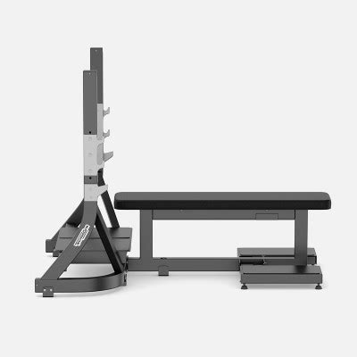 Technogym Pure Olympic Flat Bench D Model By Frezzy