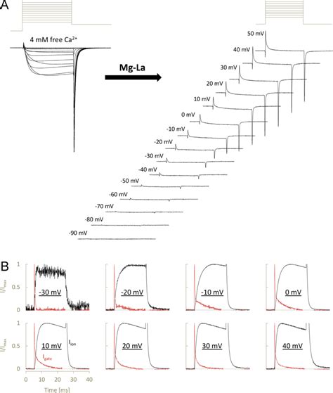 Cav2 3 Channel Ionic And Gating Currents A Mean Ionic Left And