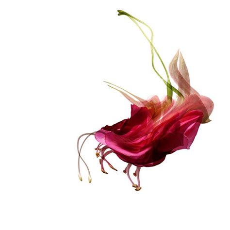 Isabelle Menin Art Sculpture
