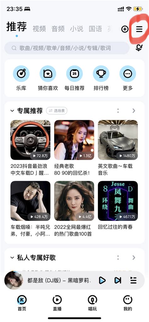 已解决：iphone Ios Ipad，如何边放听音乐，边做其他事（看视频、打游戏、看直播等） 知乎