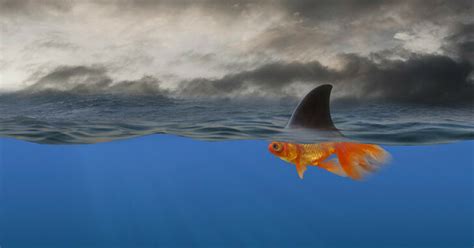 6 причин полюбить отрицательные эмоции Marieclaire