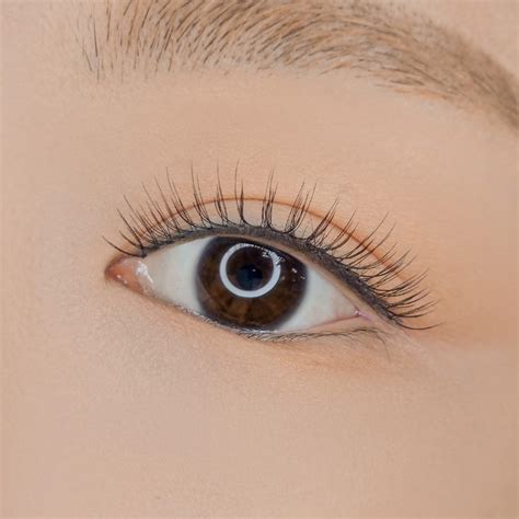 마이래쉬 통속눈썹 N20 라이아3쌍 더분