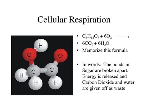 6o2 Molecule