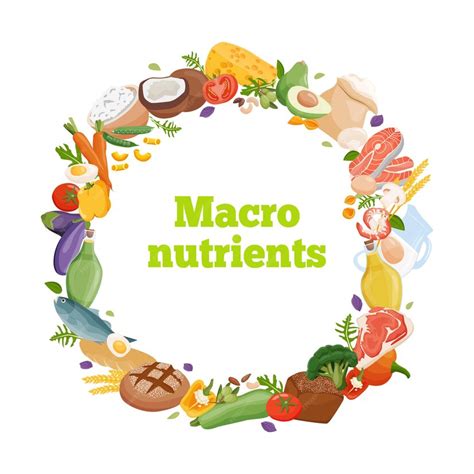 Premium Vector Healthy Macronutrients Fiber Proteins Fats And Carbs