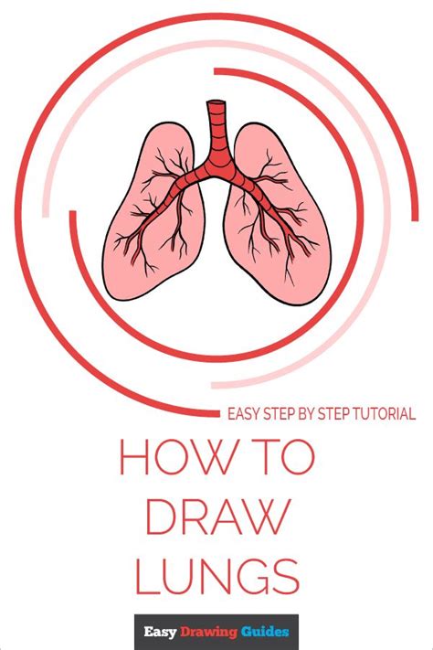 How To Draw Lungs Really Easy Drawing Tutorial Drawing Tutorial