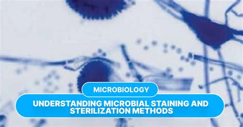 Microbiology Staining Sterilization And Culture Techniques