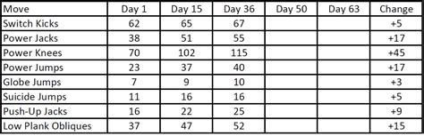 Dans Insanity Workout Blog Day 36 Fit Test And Max Interval Circuit
