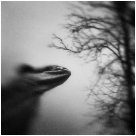Photographer Hans Jacob Haarseth Brings Art To Life Through Black And White Photography