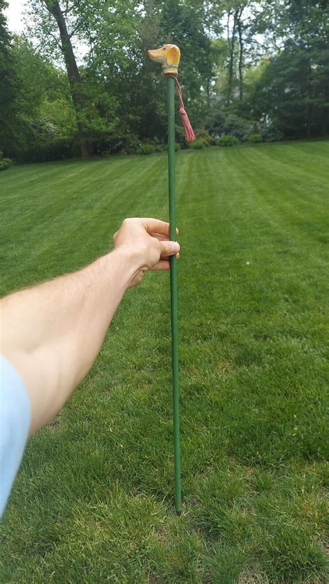 Antique Walking Stick Cane Gem