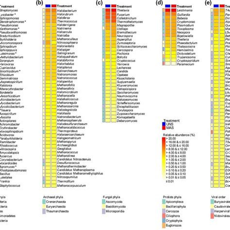 Heatmap With The Relative Abundance Of The 50 Most Abundant