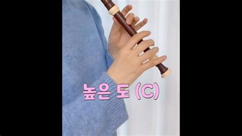 9 리코더에 180도 돌아봐요♪ 높은 도 C 기본 음계 운지법 소프라노 리코더 리코더 리코더운지 리코더음계 Recorder Youtube