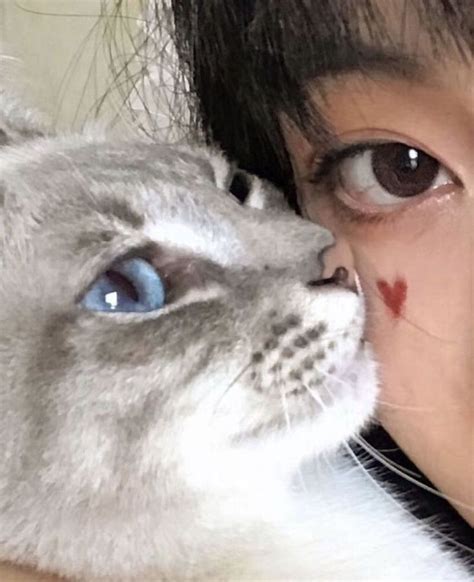 Cat And Girl Icon 포즈 파마 머리 그리기 사진
