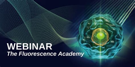 Modeling The Midbrain Floor Plate And Mature Dopaminergic Neurons With