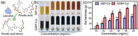 Laccase Induced Gelation Of Sugar Beet Pectincurcumin Nanocomplexes