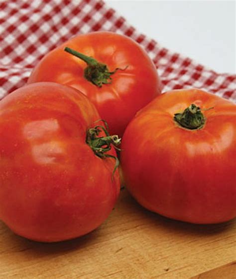 15 Of The Absolute Best Tomato Varieties You Should Plant In Your Garden