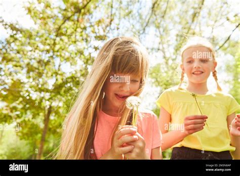 Smiling Elementary Girl Blowing Dandelion By Friend In Park During