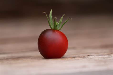 Indigo Ruby Indeterminate Tomatoes Tomato Seeds Seedheaven Eu