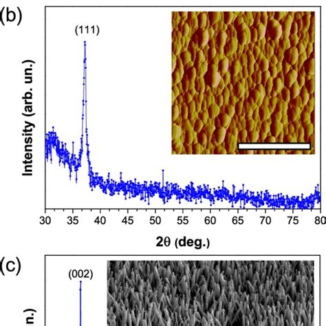 A A Three Dimensional Schematic Representation Of The Ecd Devices Download Scientific