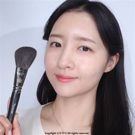 올리브영 피카소 필리밀리 메이크업 쉐딩브러쉬 넙대대한 얼굴 쉐이딩 하는법 네이버 블로그