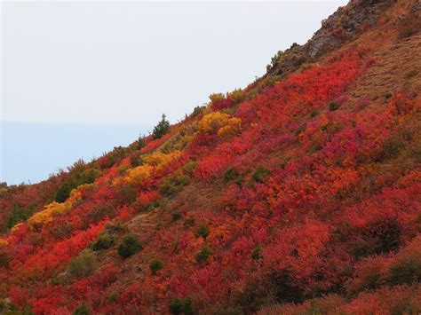 绿水青山丨新疆托里：风光旖旎寄秋思 天山网 新疆新闻门户