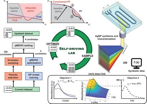 自动驾驶实验室中约束多目标优化的进化引导贝叶斯优化npj Computational Materials X Mol