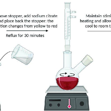 Schematic Representation Of Gold Nanoparticle Synthesis Using The