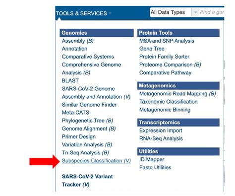 Subspecies Classification Service Bv Brc