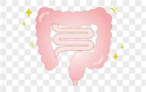 Inflammatory Bowel Disease Png Images With Transparent Background