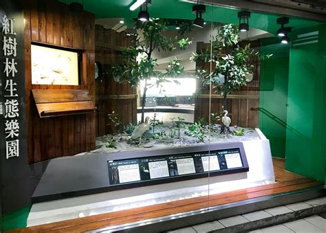 紅樹林生態教育館 本館簡介