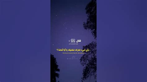 اسلام اكسبلور Revertz Quran Explore Arabic حالاتواتس