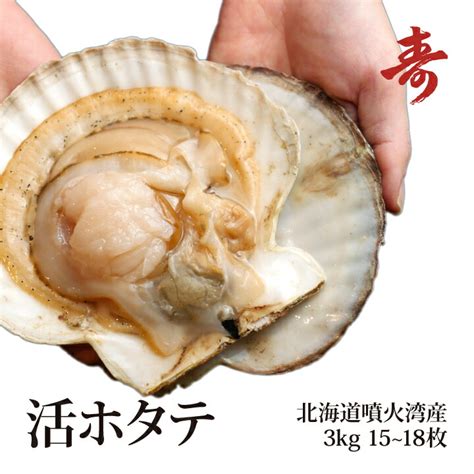 【楽天市場】ギフト 北海道 噴火湾産 活ホタテ 3kg 15～18枚 殻付 お刺身やバーベキュー、寿司ネタに！ 冷蔵 ほたて 帆立 道産 お