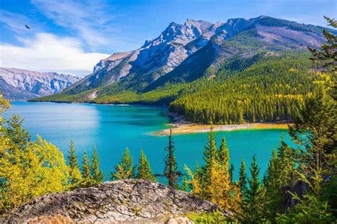 Calgary And Banff Summer Experience
