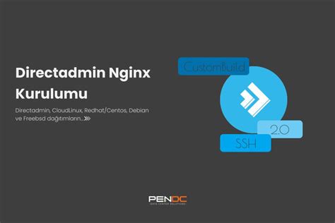 Directadmin Nginx Kurulumu Nasıl Yapılır Pendc Blog Sayfası