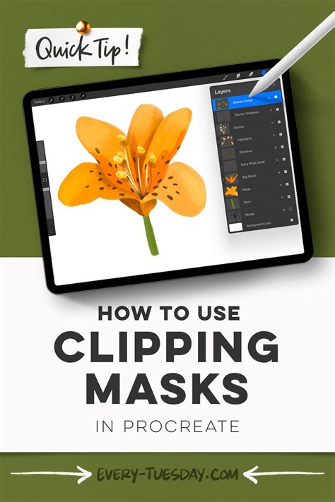 How To Use Clipping Masks In Procreate Every Tuesday Procreate App Tutorial Procreate Ipad