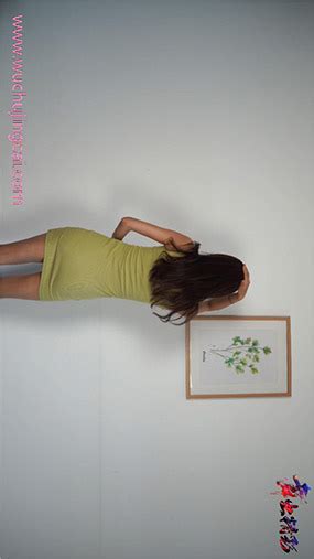 舞出精彩莹莹2期8V 1G 舞妖社 热舞资源站
