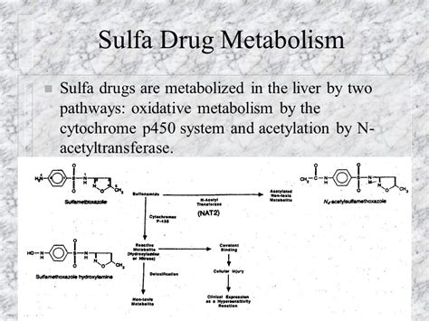 Sulfa Antibiotics Allergy
